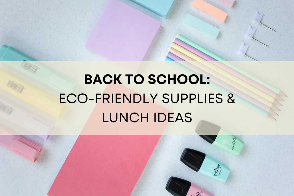 Eco-Friendly School Supplies: A Guide to Greener Back-to-School ...