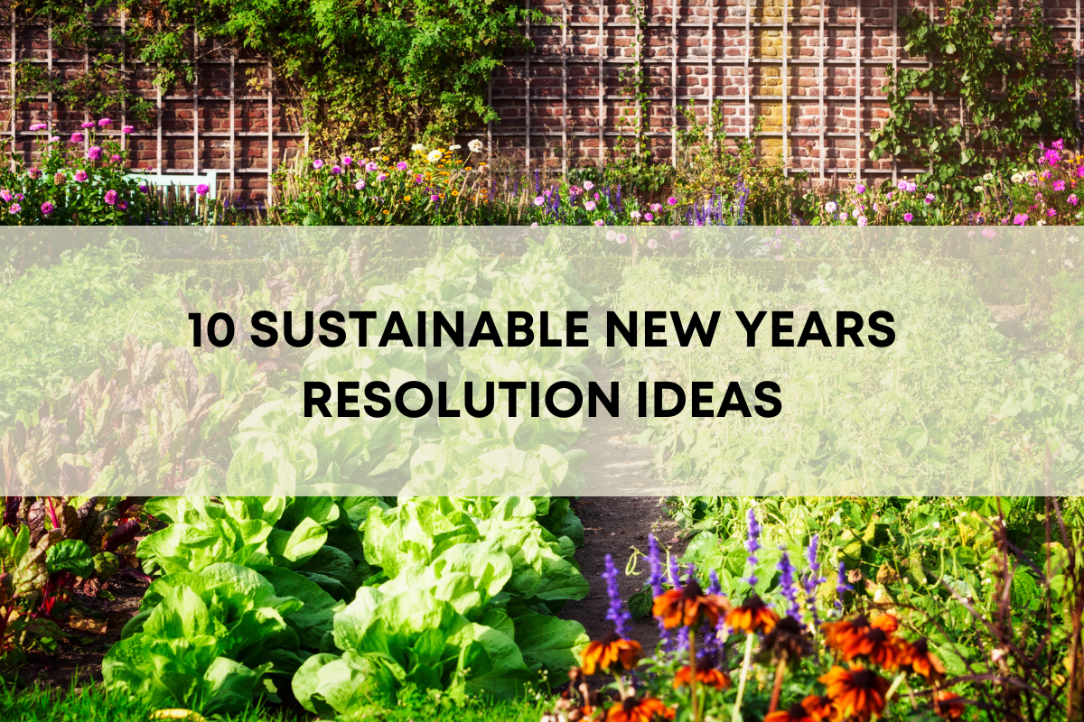 10 Sustainable New Years Resolution Ideas For a Greener 2025– Tare Market