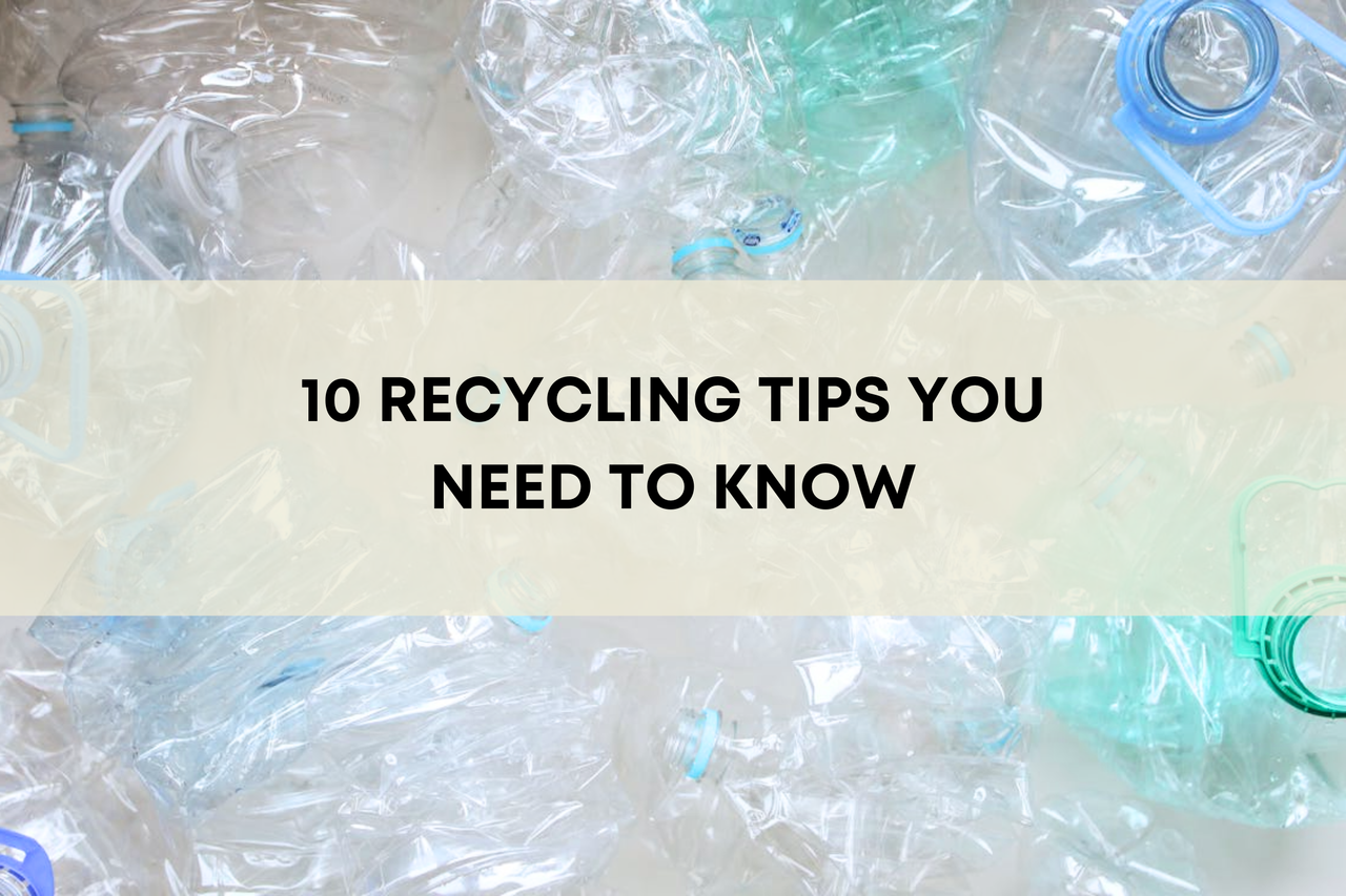 10 Smart Recycling Tips: How to Recycle Correctly – Tare Market