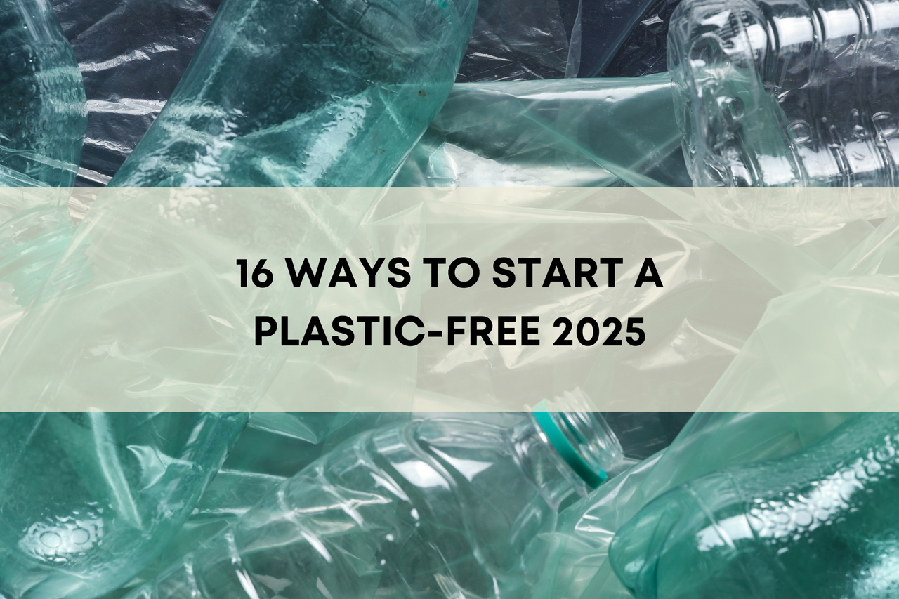 16 Ways to Start a Plastic-Free 2025 – Tare Market