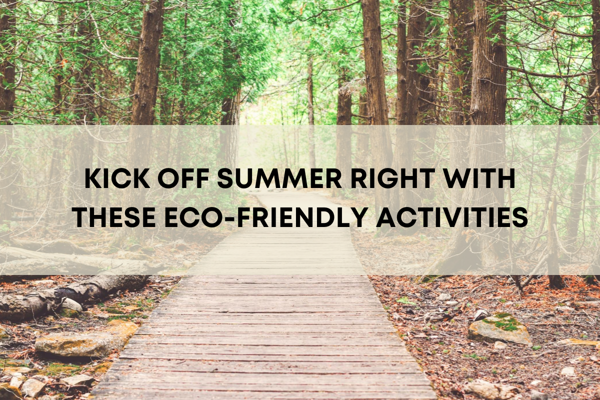 Summer Fun in Minnesota: Eco-Friendly Activities to Enjoy the Outdoors ...